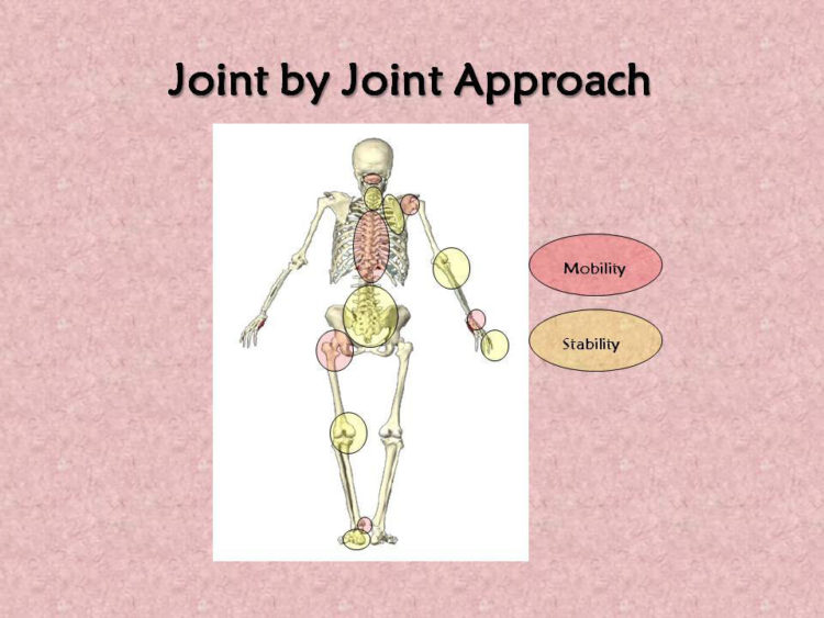 Charlie Weingroff: The Joint-by-Joint Approach to Training - On Target ...