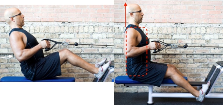 Evan Osar: Forward Shoulder Posture and Scapular Retraction Exercises ...
