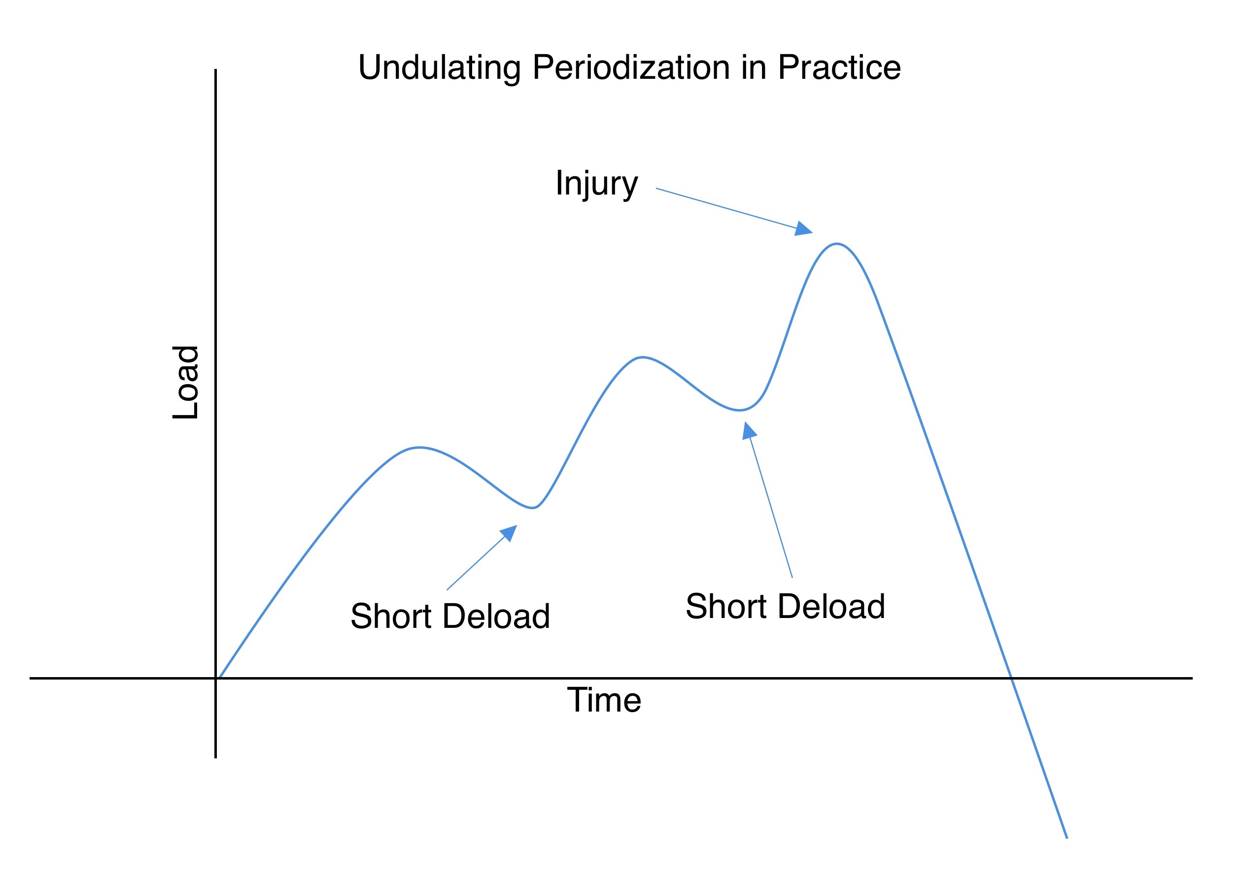 Brian-Gwaltney-Periodization-5-Undulating-Periodization-in-practice ...