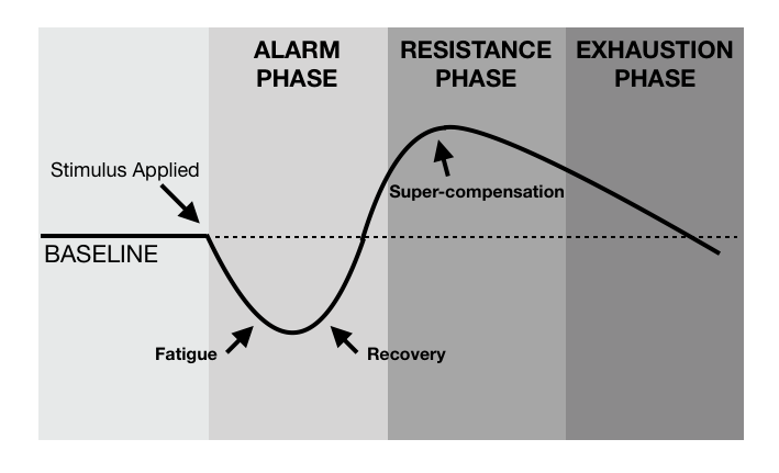 Models of Periodization - On Target Publications